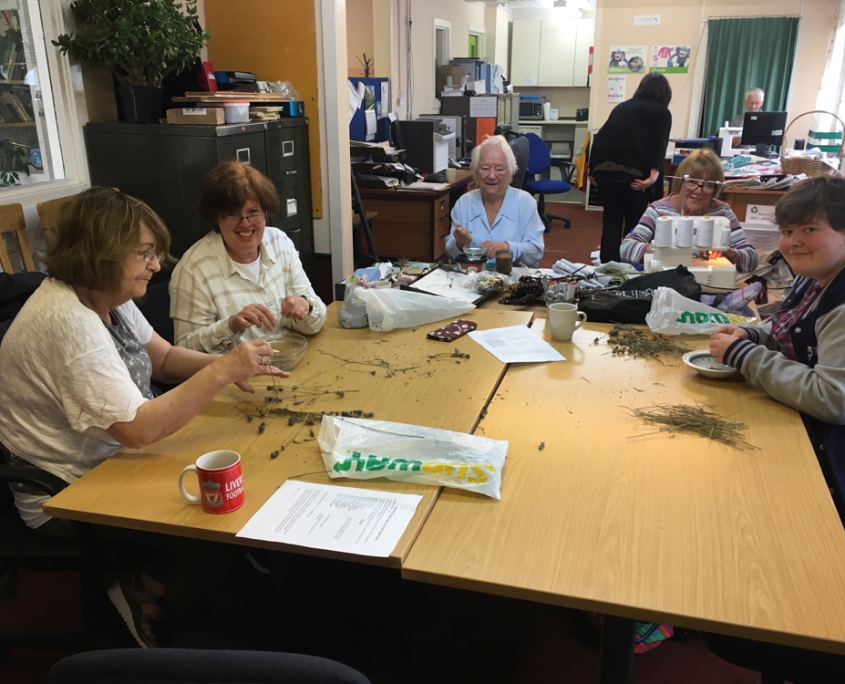 Sustainable Wirral Projects – Wirral Environmental Network